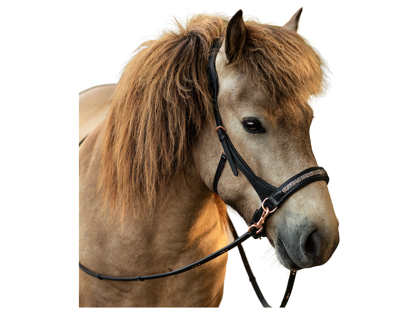 Epona Gebissloser Zaum roségold | Icelandic Horse