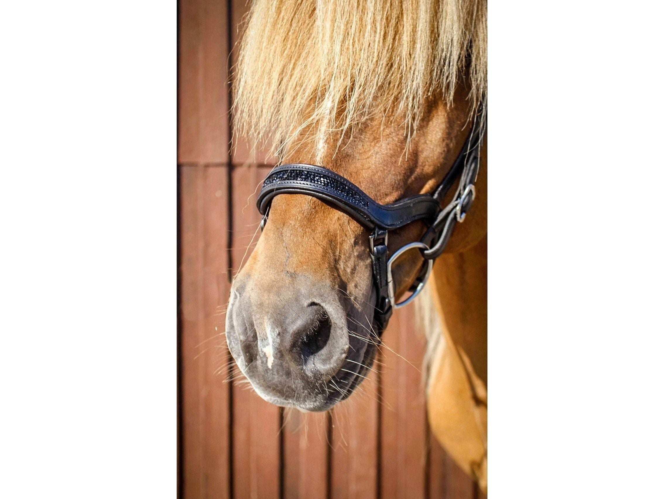 Hilbar bridle line Royal exclusive anatomical noseband Black Rocks (z)